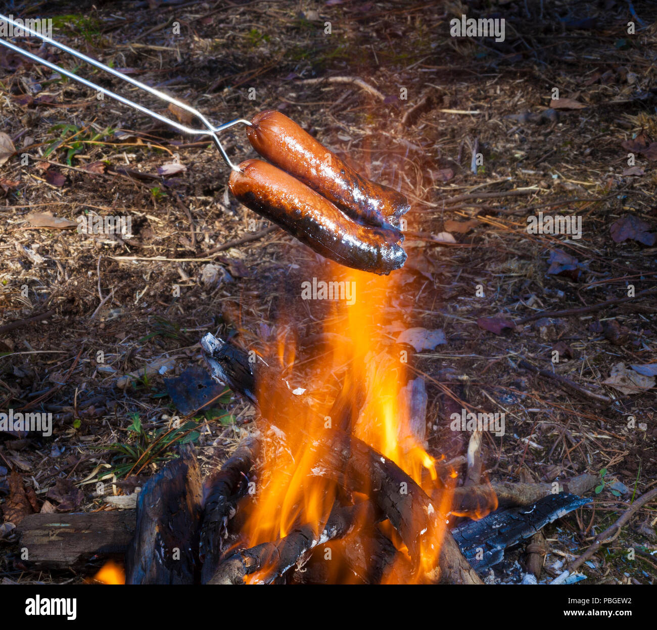 Hot dogs that are cooked over a small campfire Stock Photo - Alamy