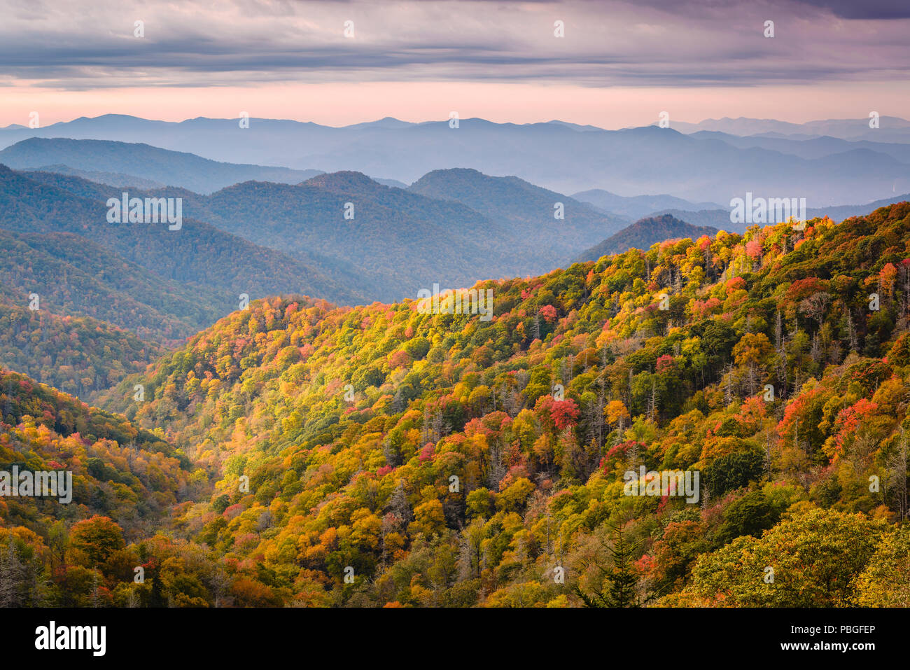 Smoky Mountain Fall Foliage