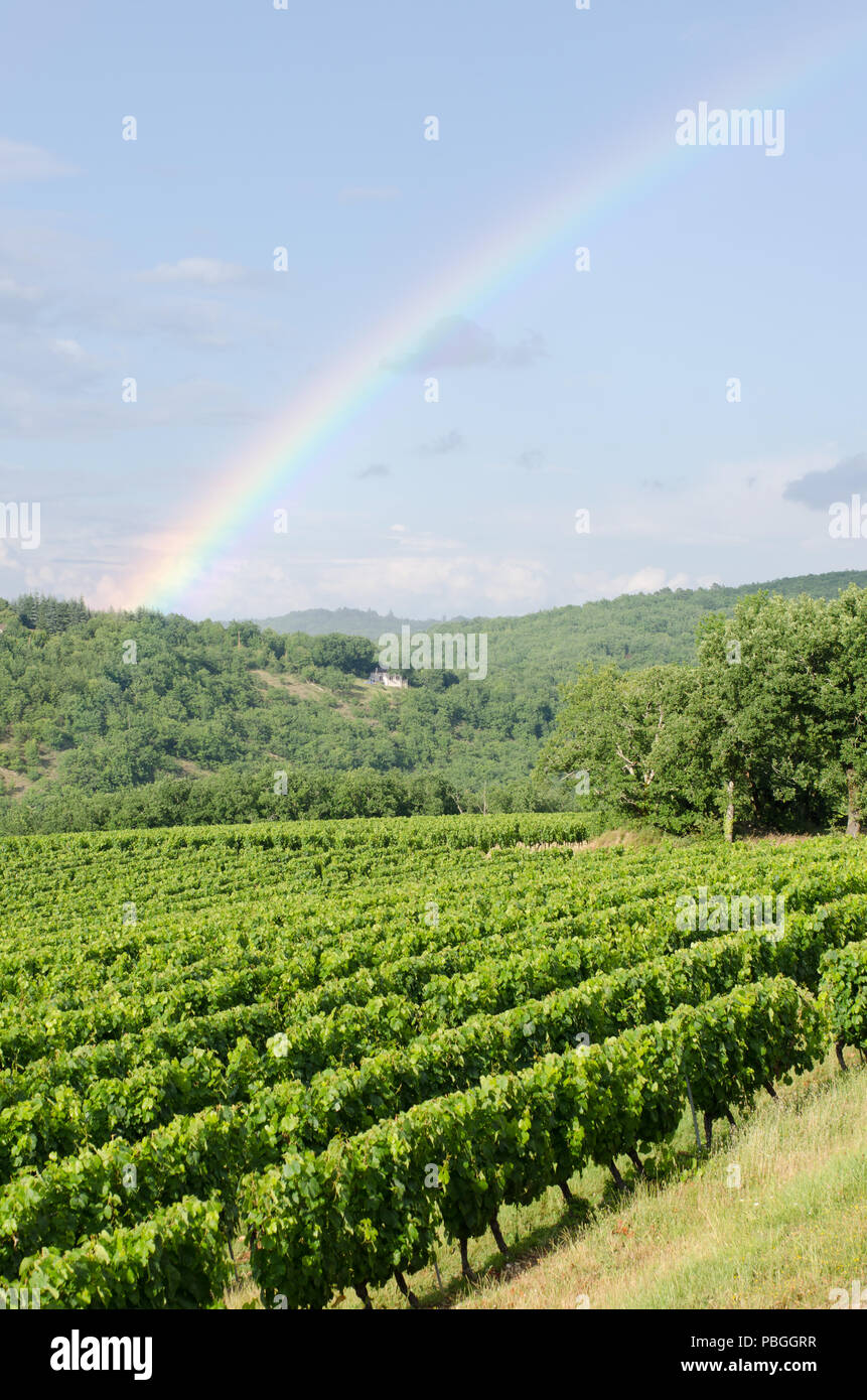 rainbow over vineyards in france Stock Photo - Alamy