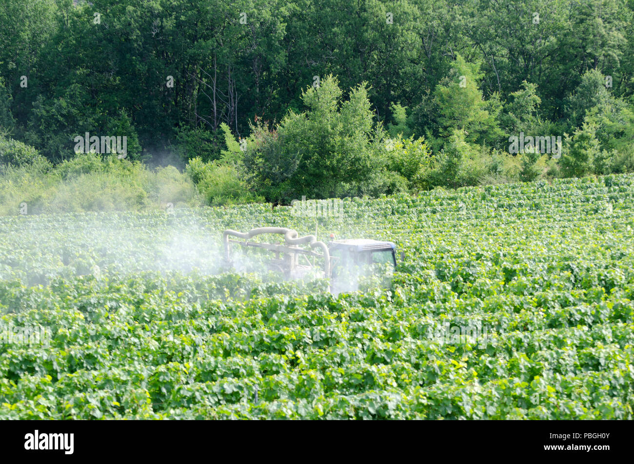Farmer spraying pesticide hi-res stock photography and images - Alamy