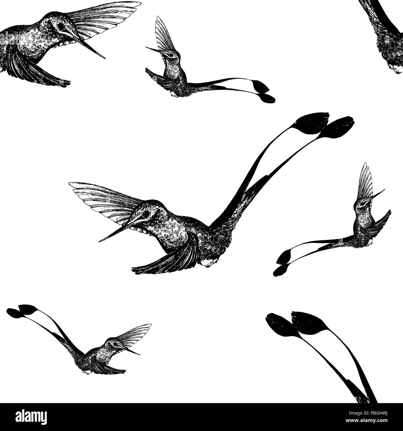 Seamless pattern of hand drawn sketch style hummingbirds isolated on ...