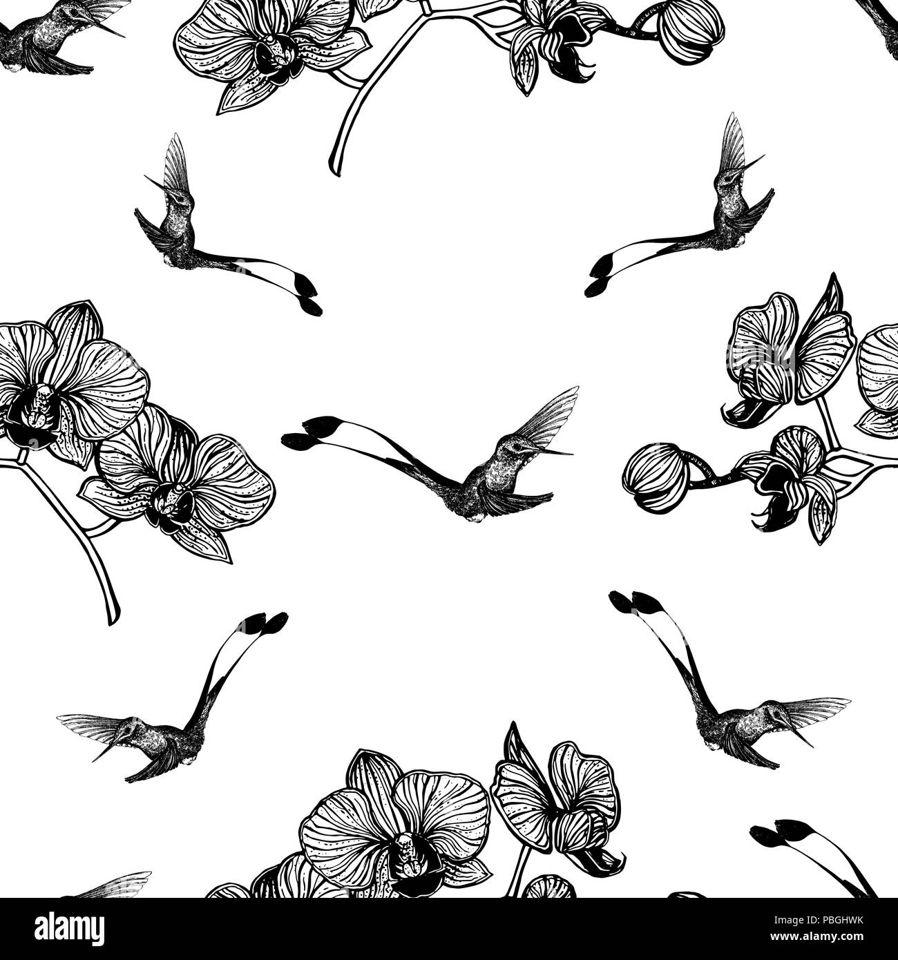 Seamless pattern of hand drawn sketch style hummingbirds and orchid ...