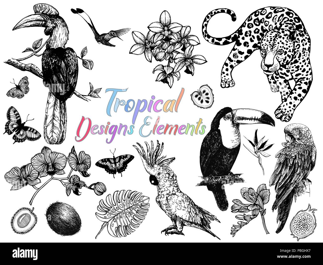 Set of hand drawn sketch style exotic birds, animals, butterflies ...