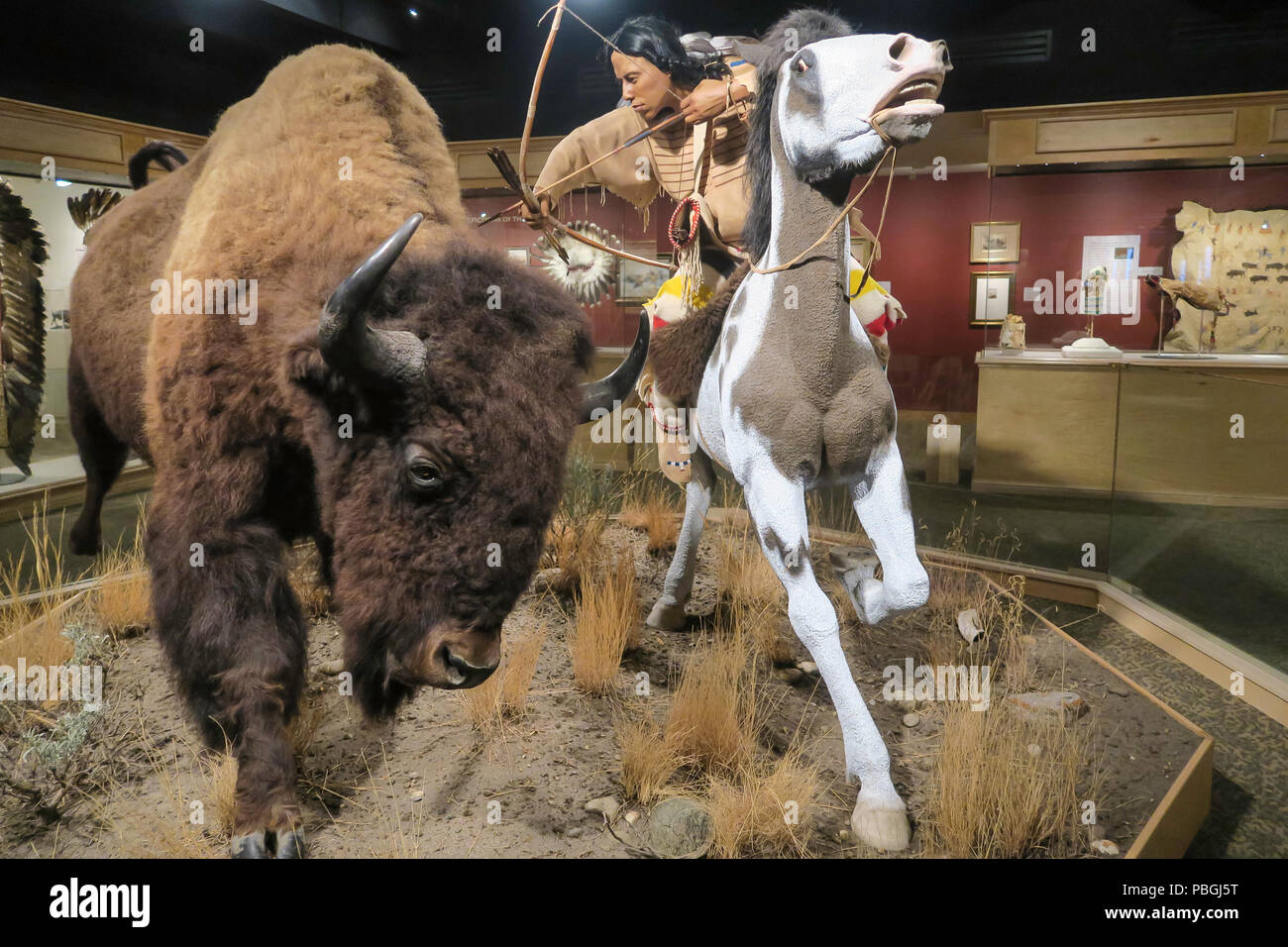 C.M. Russell Museum is in Great Falls, Montana, USA Stock Photo - Alamy