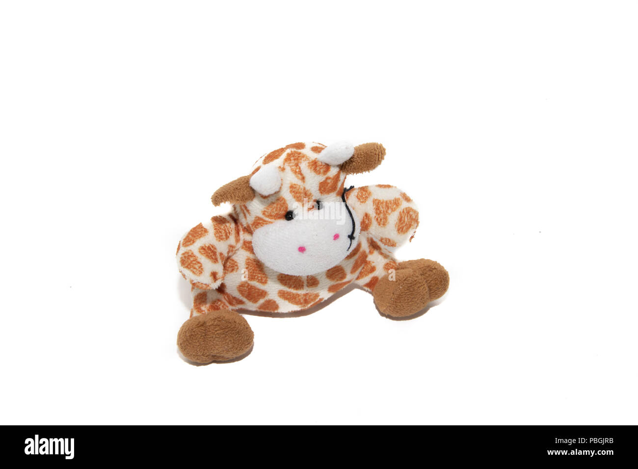 Soft toy cow on a white background. Toy on a white background. Kids ...