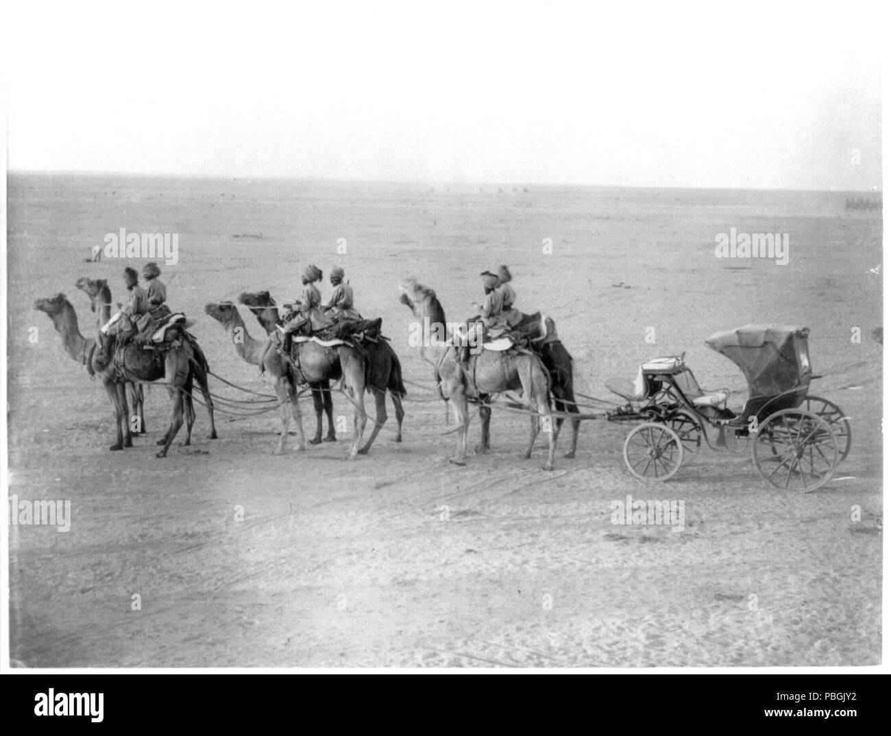 India - camel drawn carriage. 1890-1923 Stock Photo - Alamy
