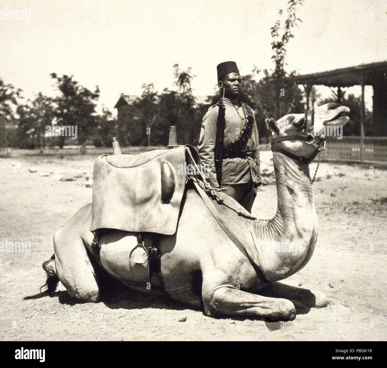 British amry camel soldier hi-res stock photography and images - Alamy