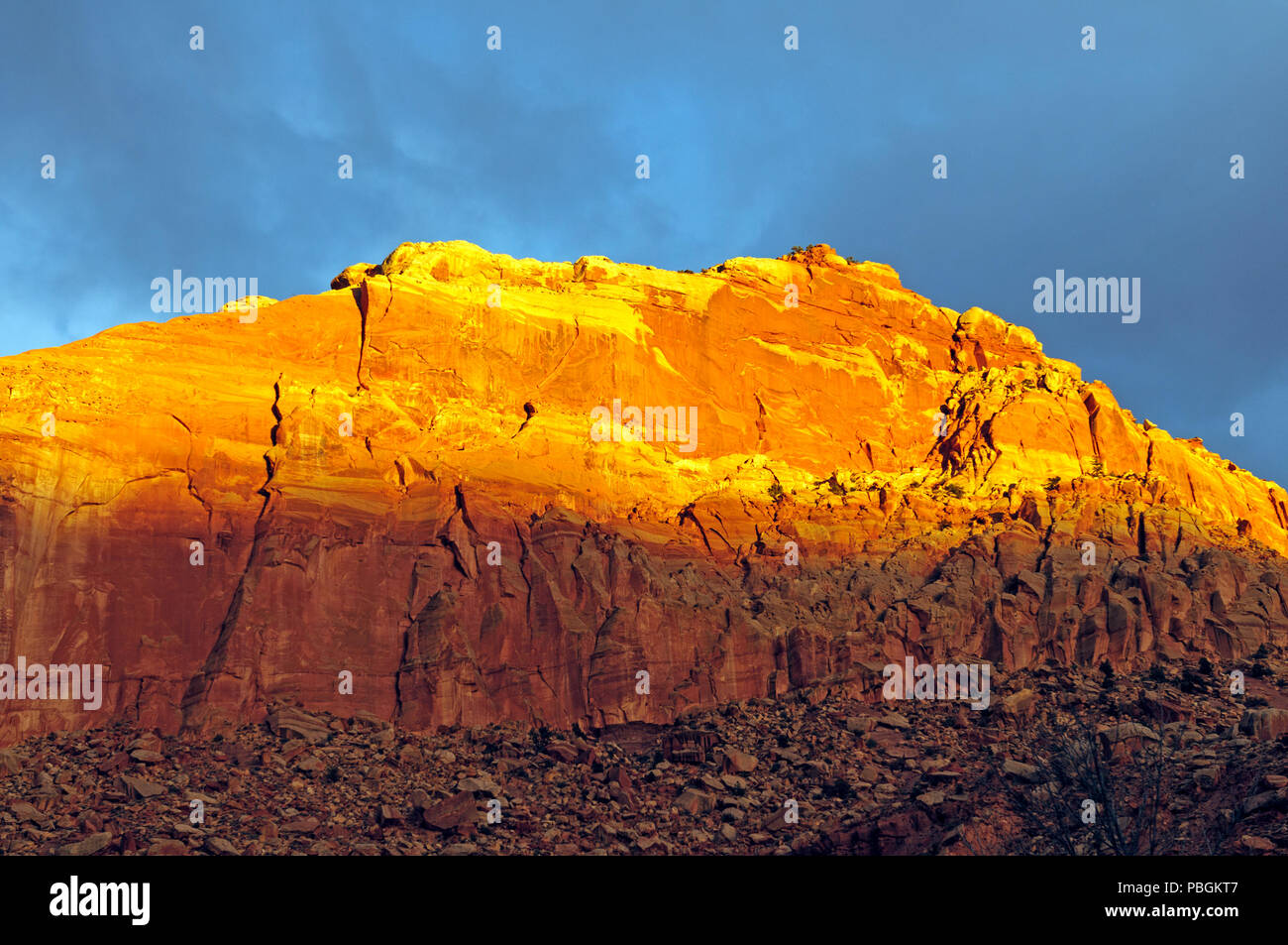 Reef glow hi-res stock photography and images - Alamy