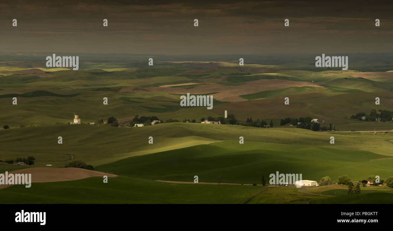 Palouse Fields, Washington State Countryside, USA Stock Photo - Alamy