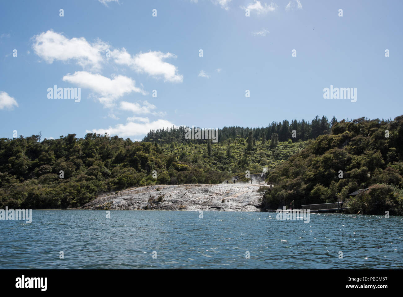 Mountain forest with Lake Ohakuri at the geothermal area Orakei Korako ...