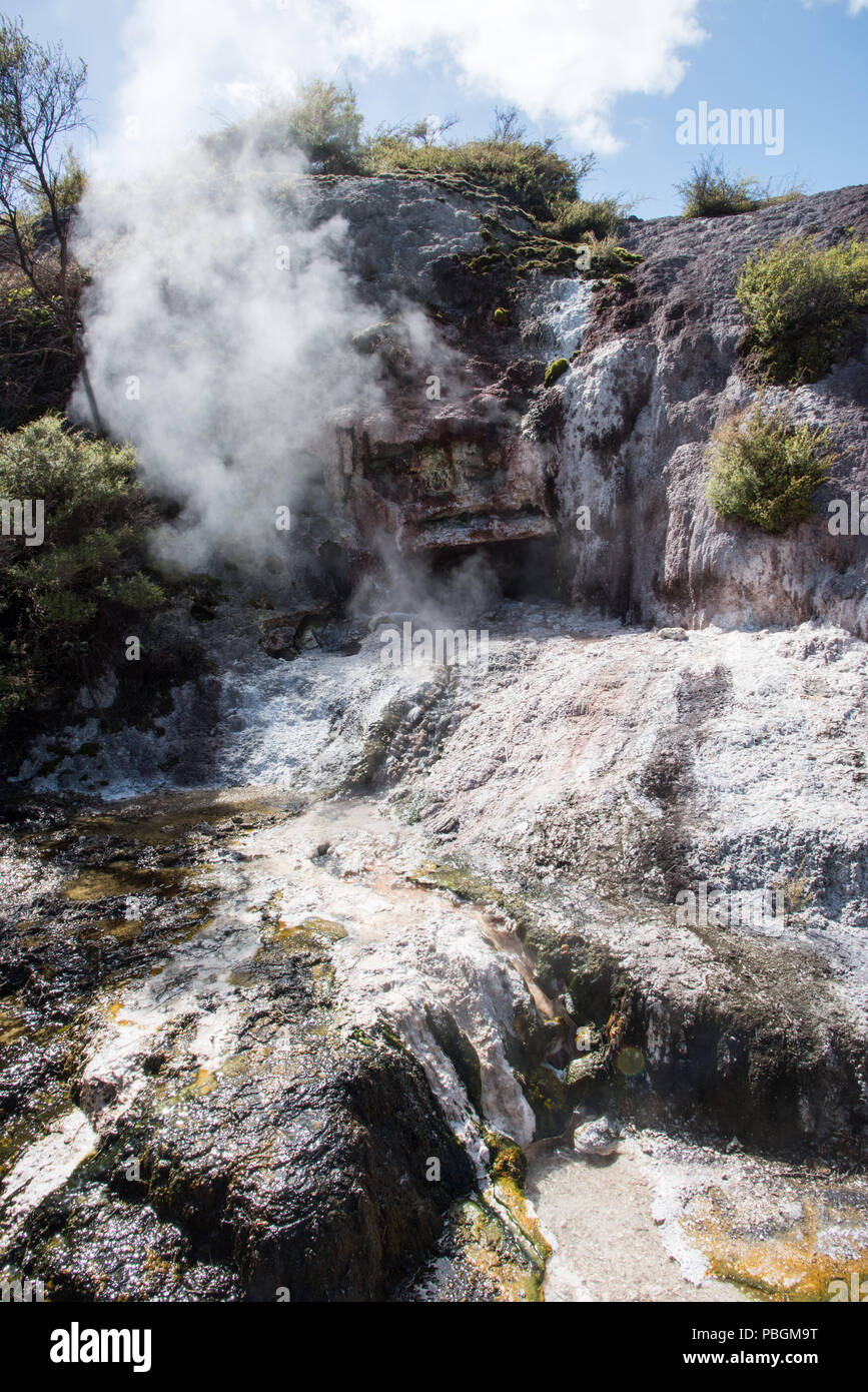 Sinter deposits and steam from thermal activity at the geothermal area ...
