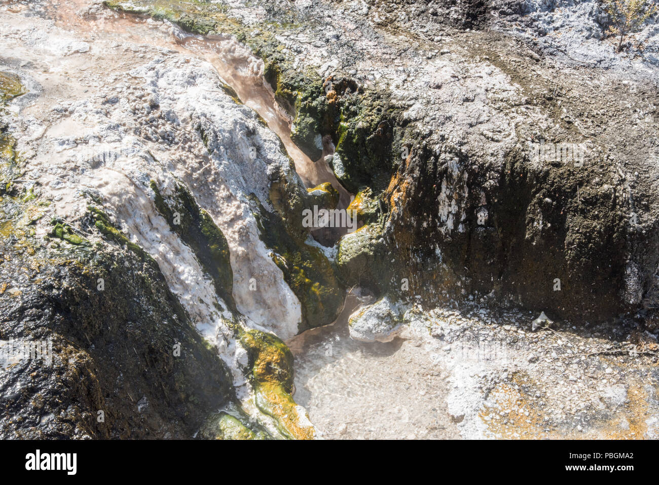 Colourful microbes and sinter deposits at the geothermal area Orakei ...