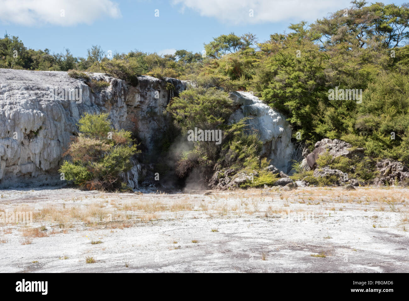 Sinter formation at the geothermal area Orakei Korako in Rotorua, New ...