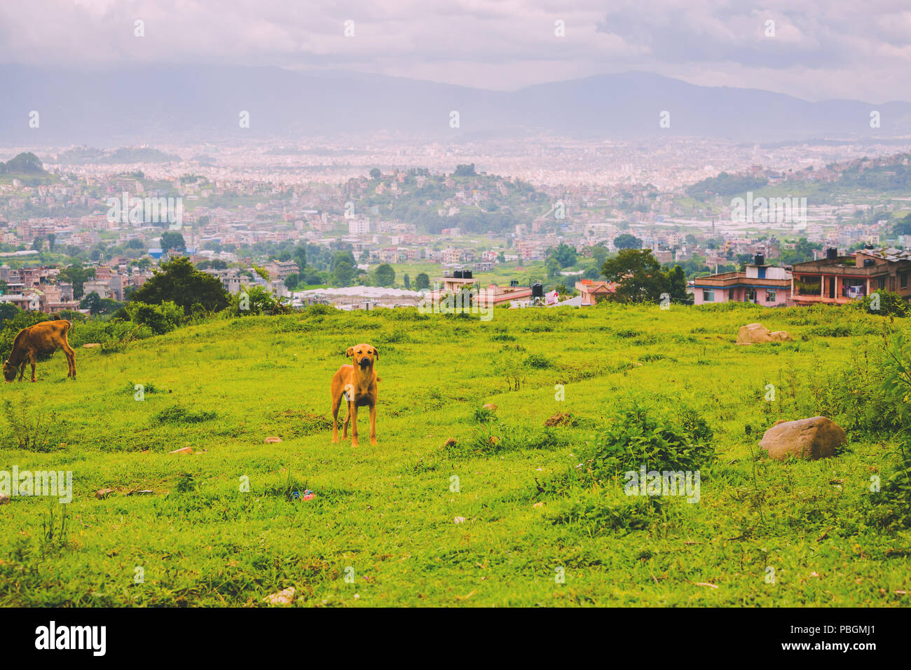Aerial view of Kathmandu City Capital of Nepal,Bird Eye View Kathmandu ...