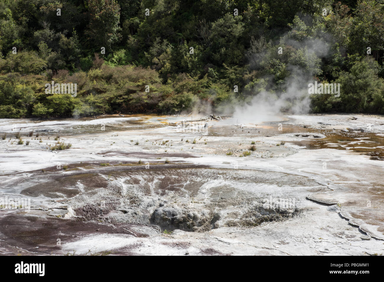 Silica sinter deposits hi-res stock photography and images - Alamy
