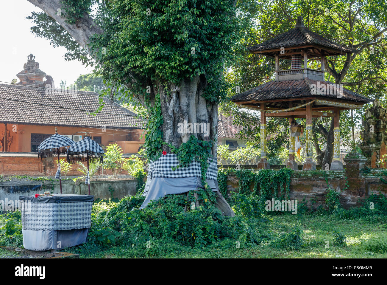 Bale, altar and big holy tree near Balinese Hindu temple at Buruan ...