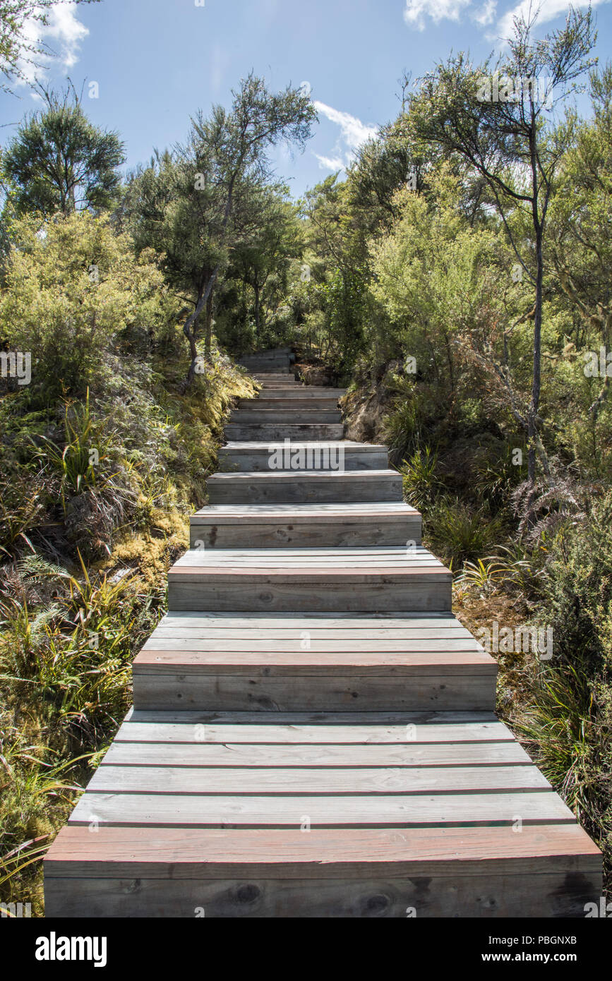 Boardwalk steps in diminishing perspective under a sunny, blue sky at ...