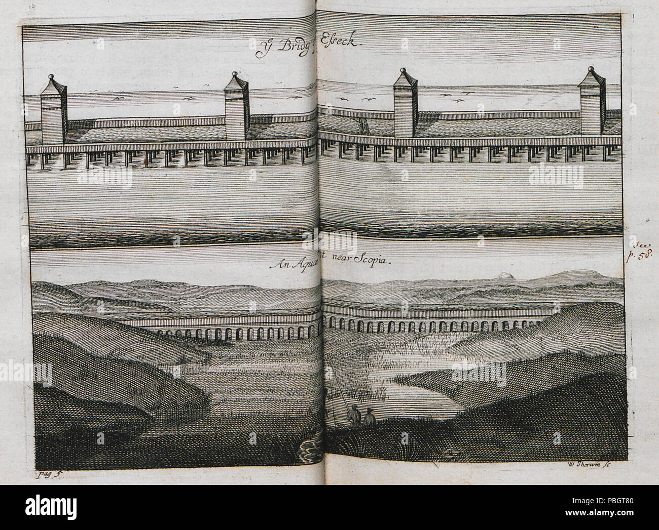 Scopia hi-res stock photography and images - Alamy