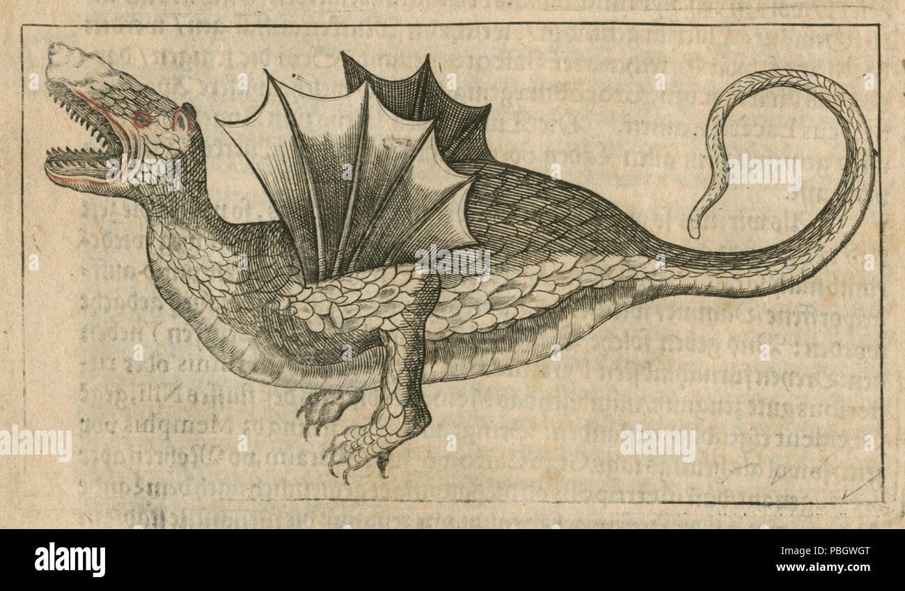 Flying to cairo hi-res stock photography and images - Alamy