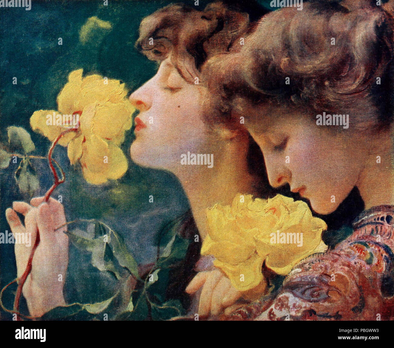 Four roses hi-res stock photography and images - Alamy