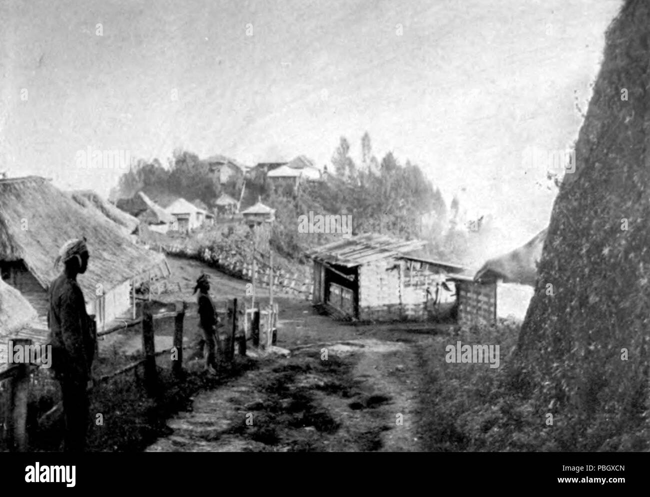 Tosari hi-res stock photography and images - Alamy