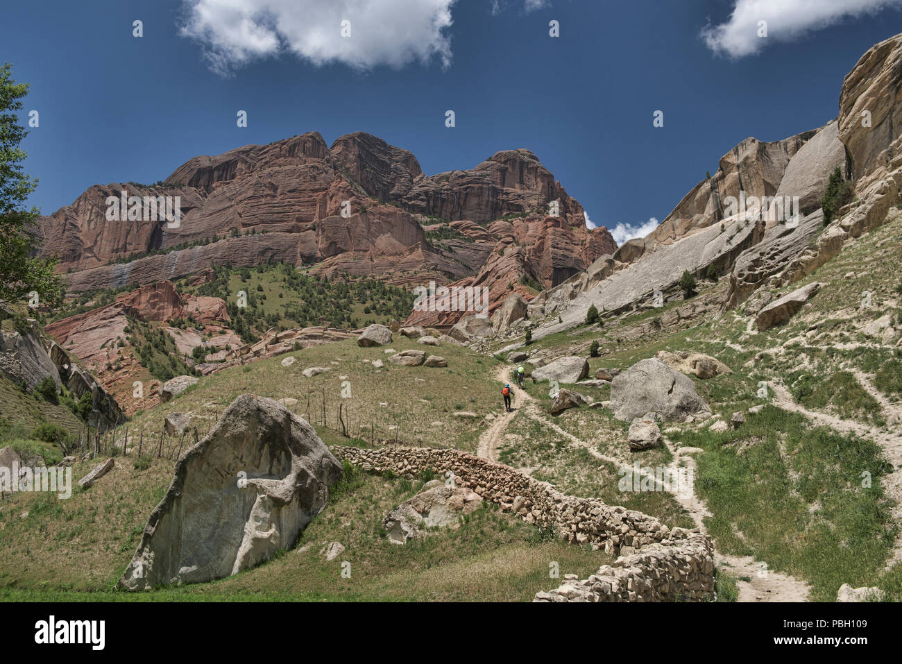 Trekkers on the epic Heights of Alay route, Alay, Kyrgyzstan Stock ...