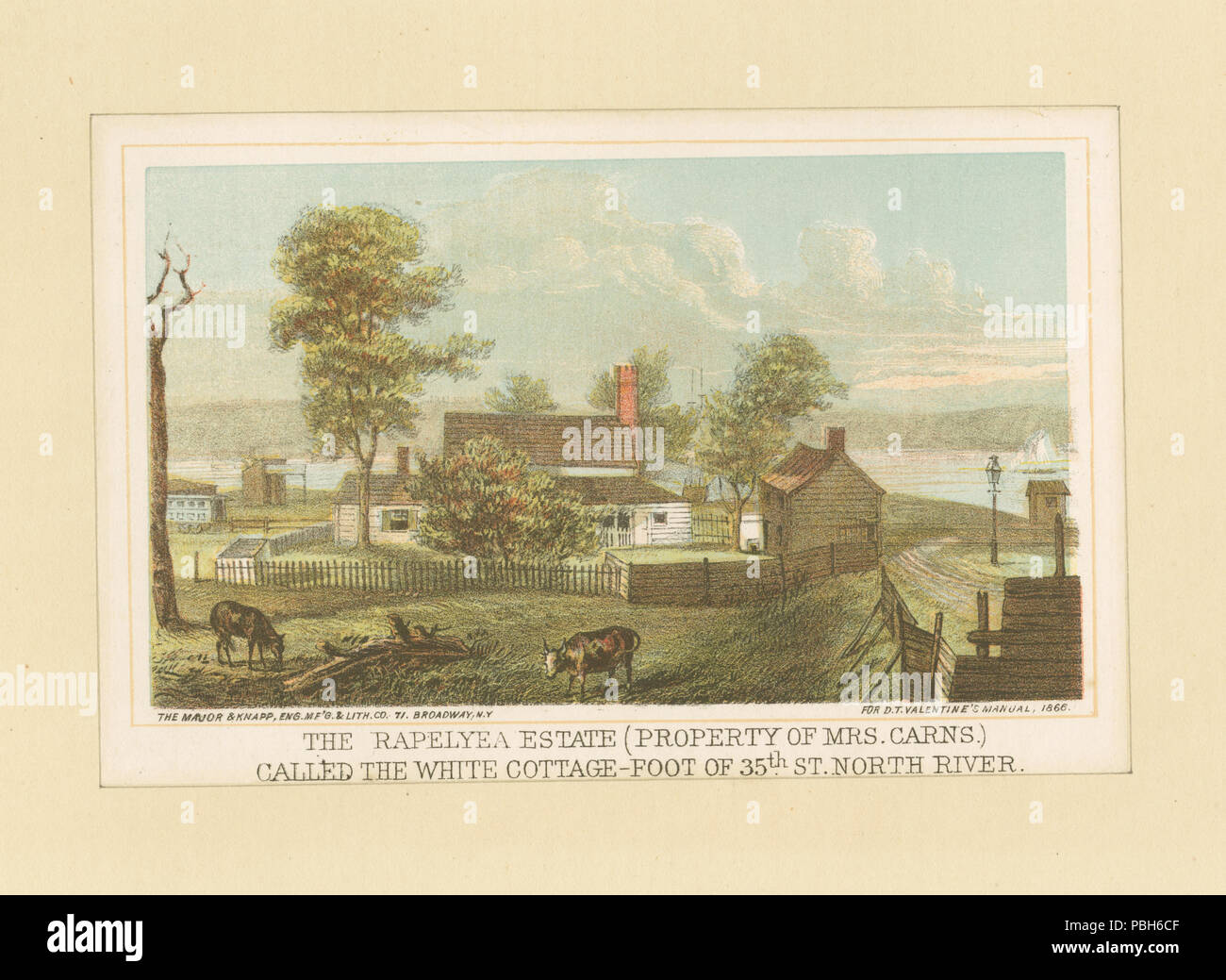 1692 The Rapelyea Estate (property of Mrs. Carns) called the White ...