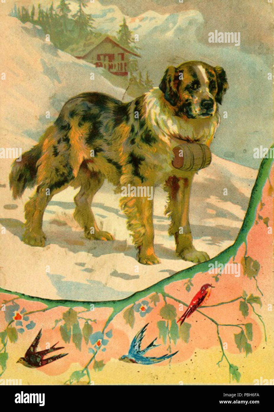 Human rescuer hi-res stock photography and images - Alamy