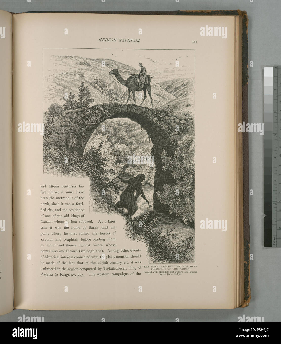 1694 The River Hasbâny, the northern tributary of the Jordan, fringed ...