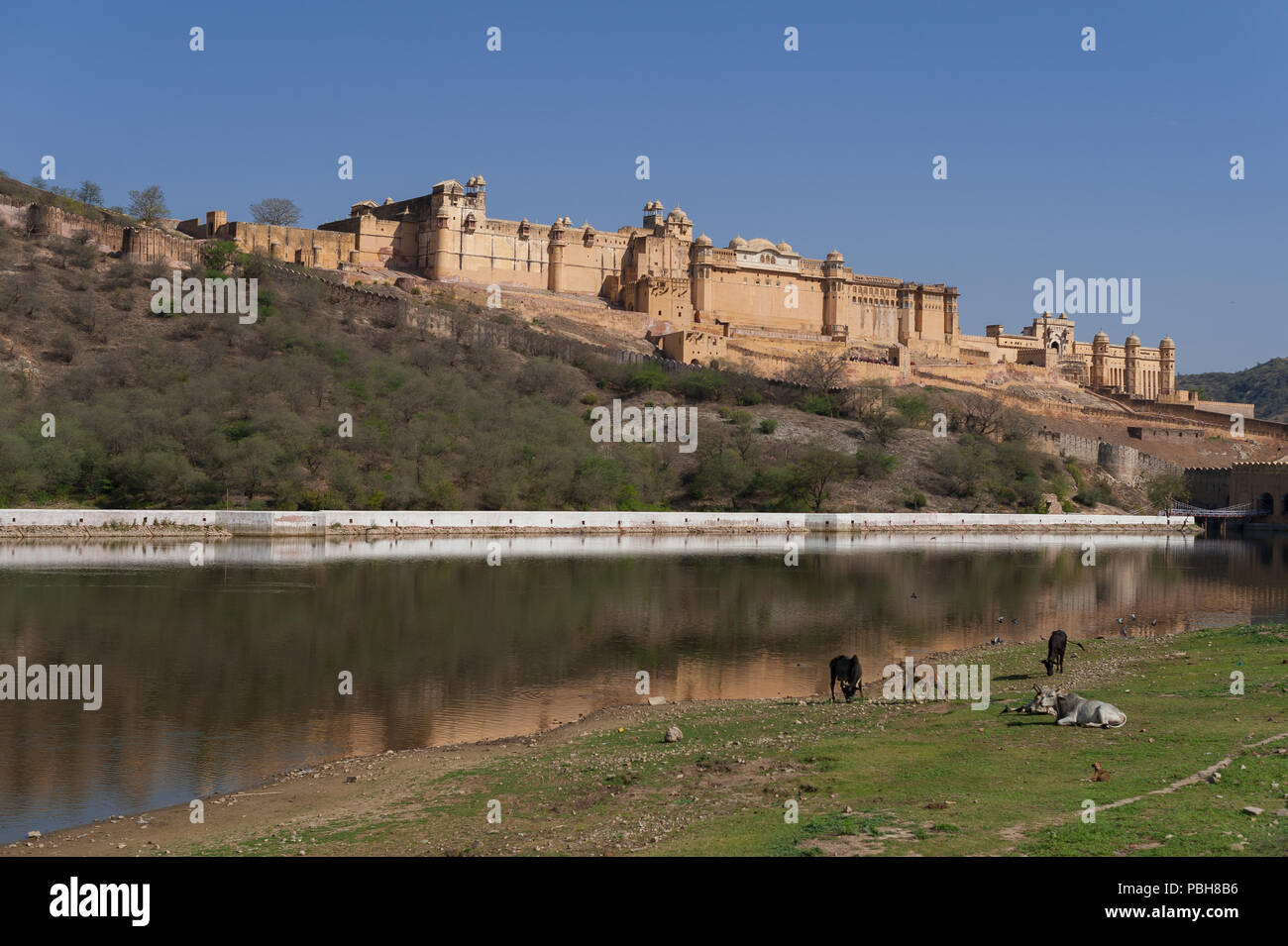 Amer jaipur hi-res stock photography and images - Alamy