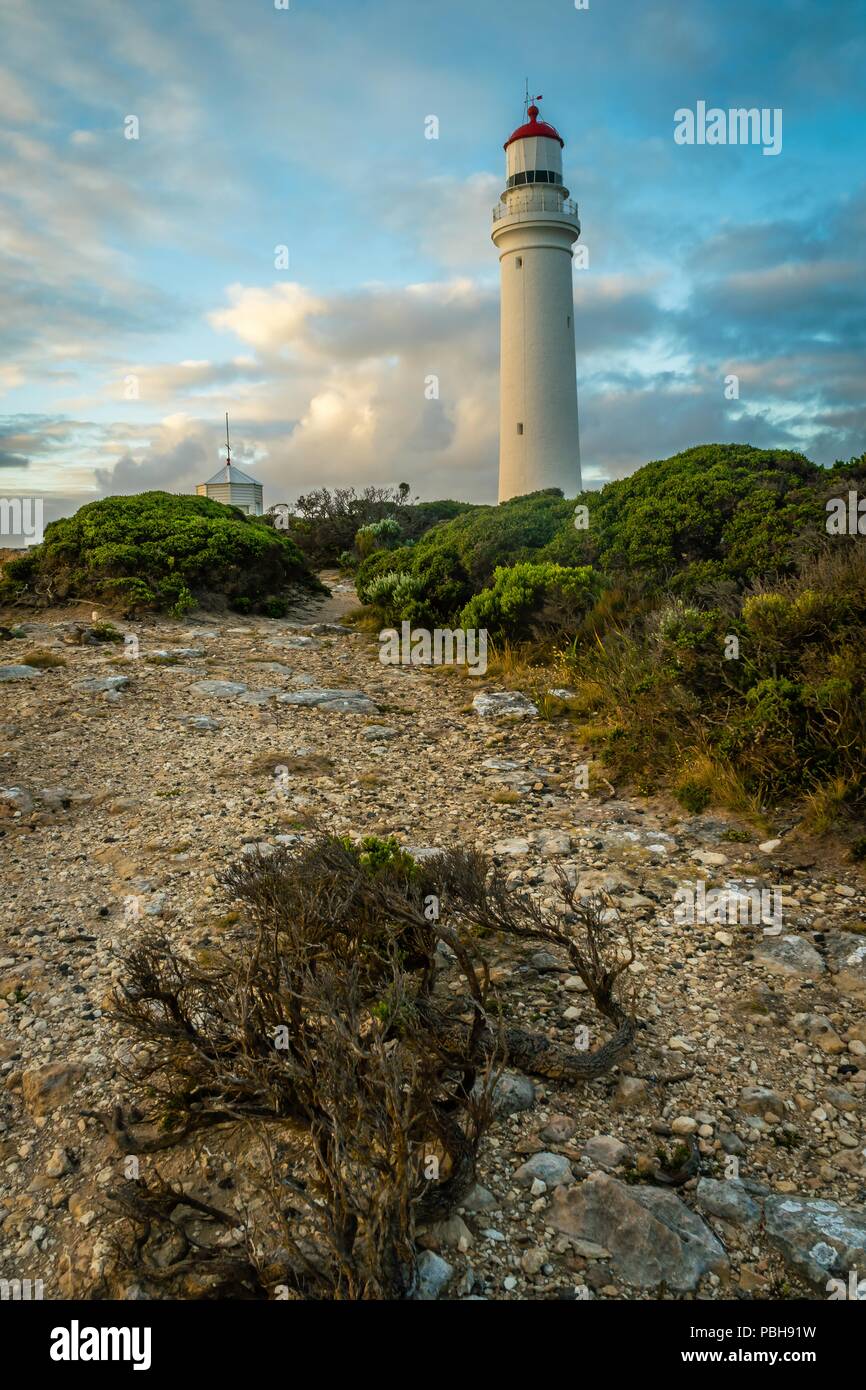 Cape Nelson lighthouse in Victoria, Australia, in the summer Stock ...