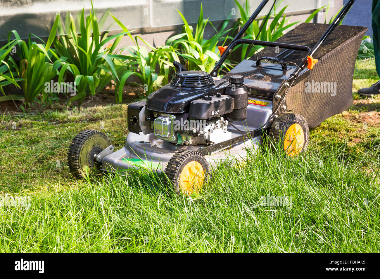Lawn mower. Cutting, gardener Stock Photo - Alamy