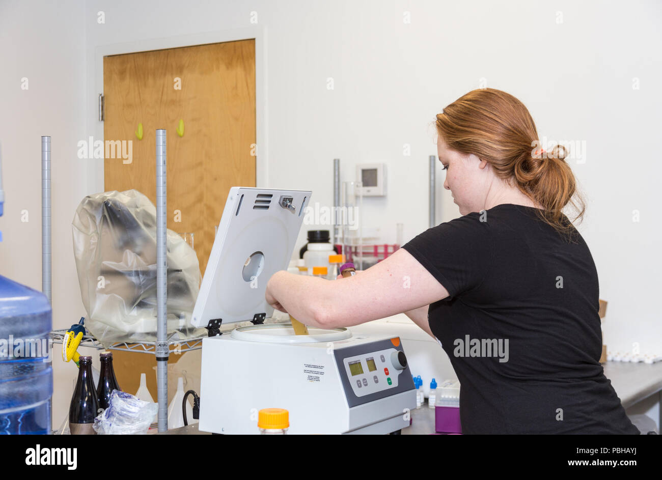Lab Technician at Work Stock Photo - Alamy