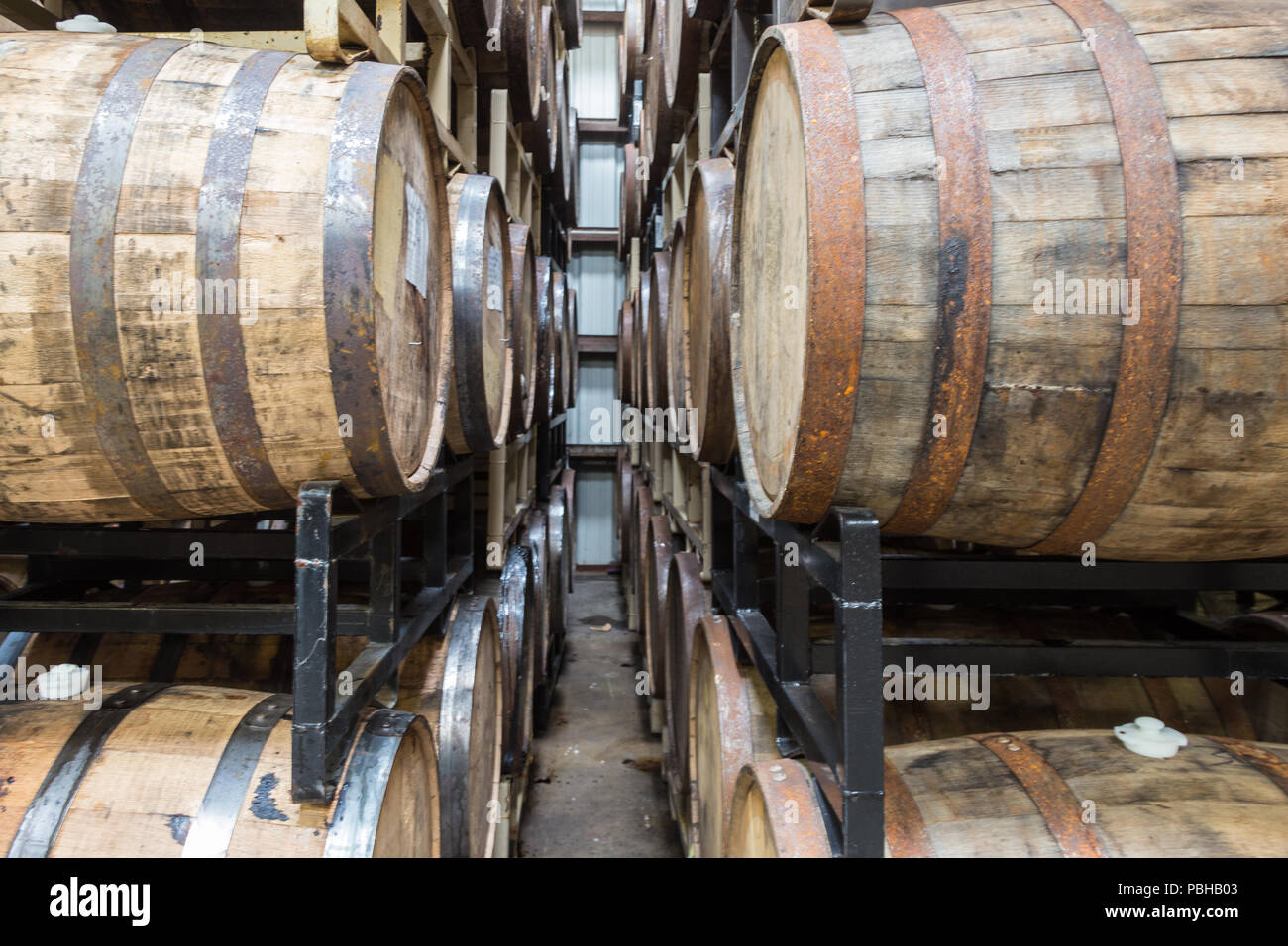 Beer Aging in Barrels Stock Photo - Alamy