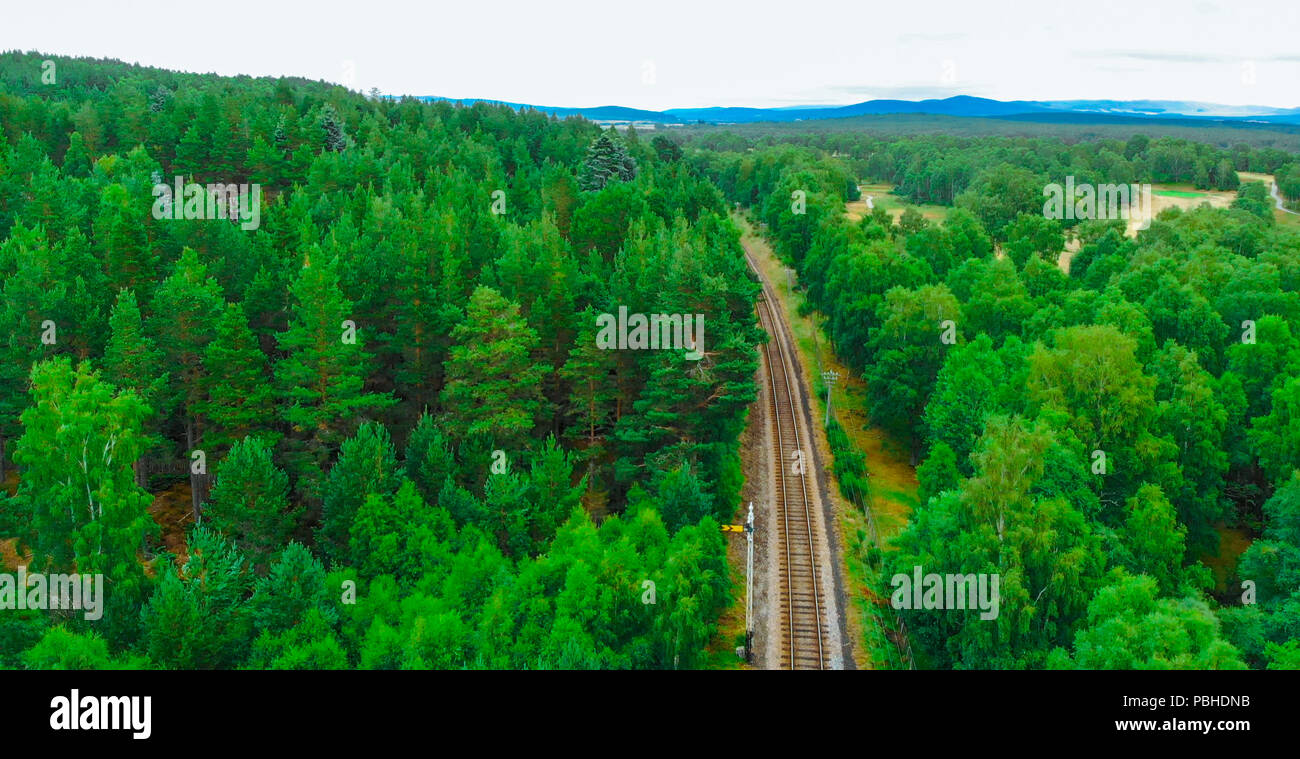 Railway track through a deep forest - aerial view Stock Photo - Alamy