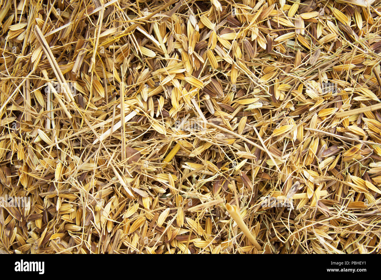 rice peel after harvest and hull background Stock Photo - Alamy
