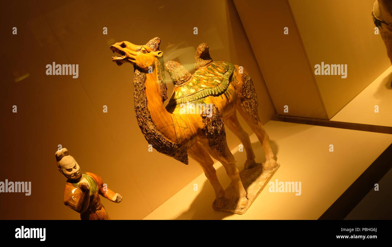 tri-coloured glazed pottery of the Tang Dynasty in Nanjing Museum Stock ...