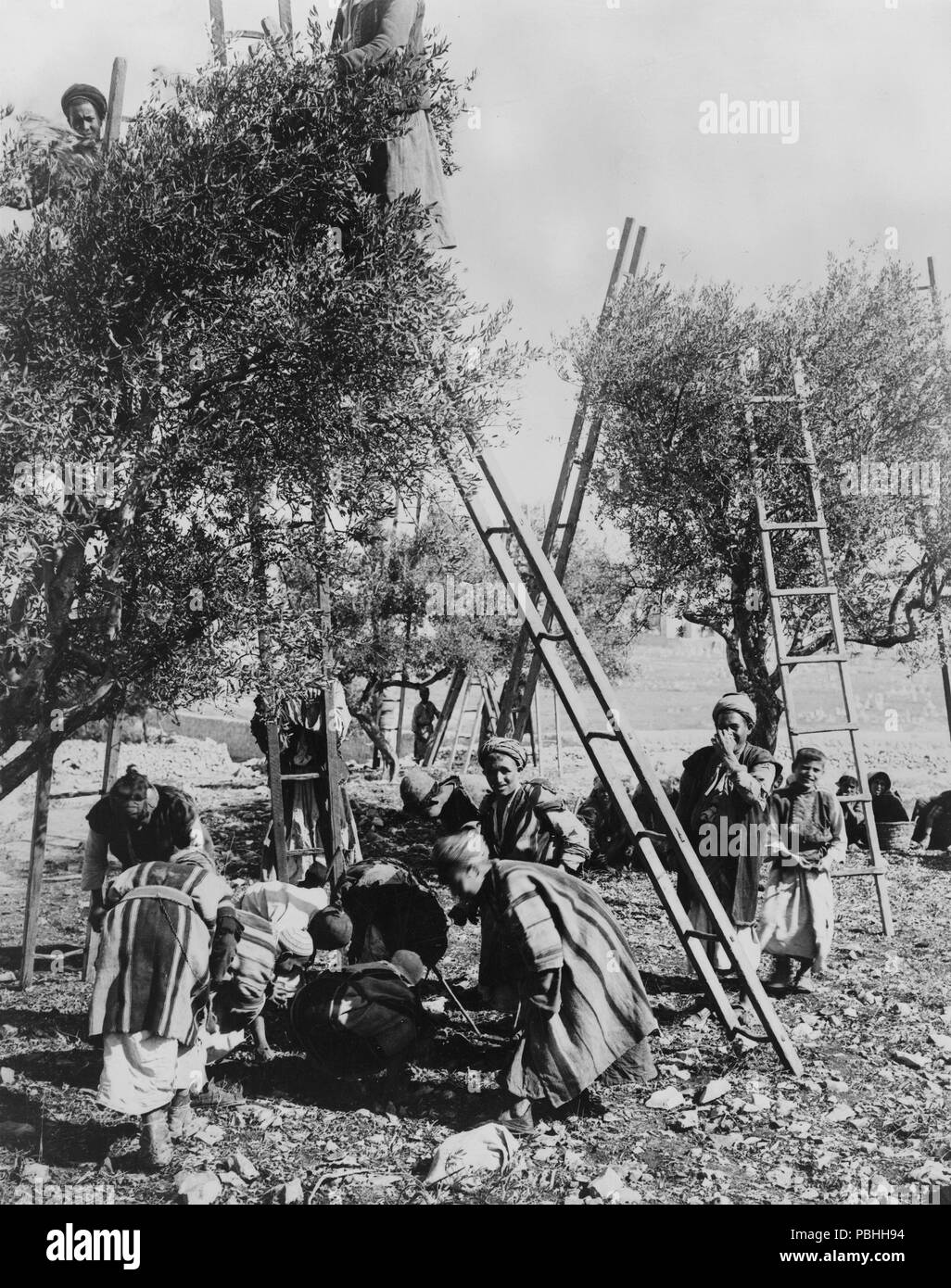 Manual labor early 1900s hi-res stock photography and images - Alamy