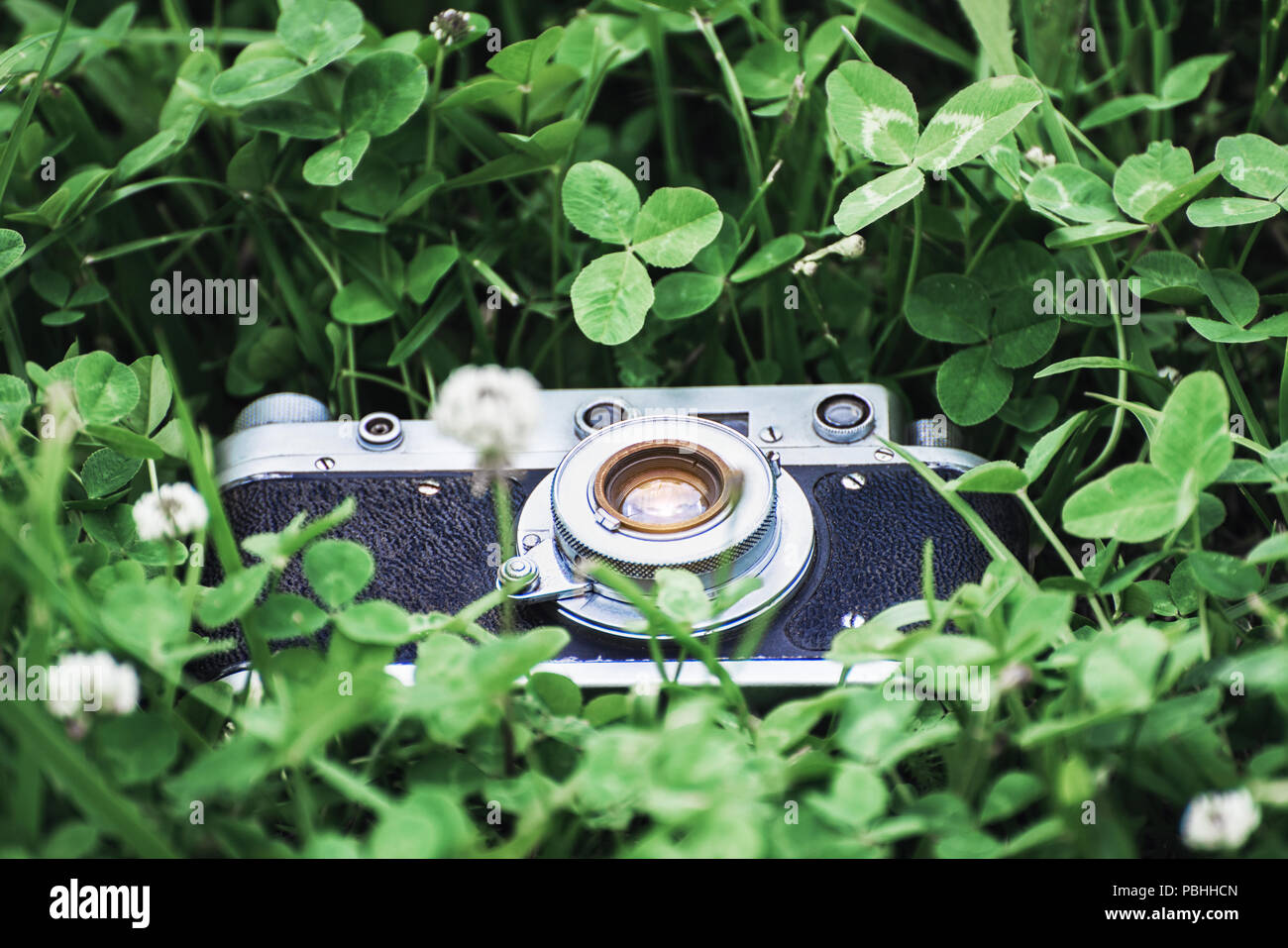 Camera lens grass hi-res stock photography and images - Alamy