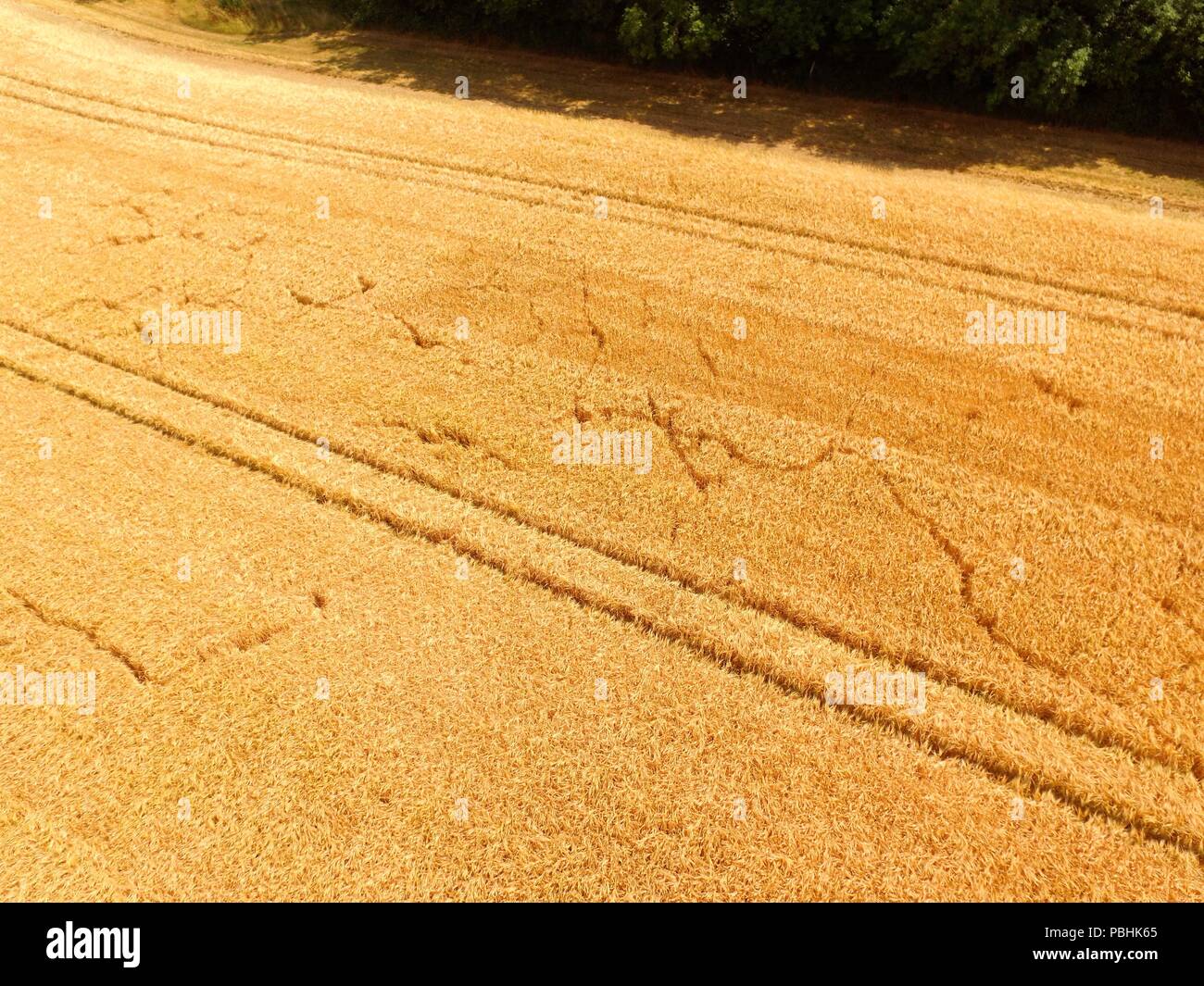 Crop markings hi-res stock photography and images - Alamy