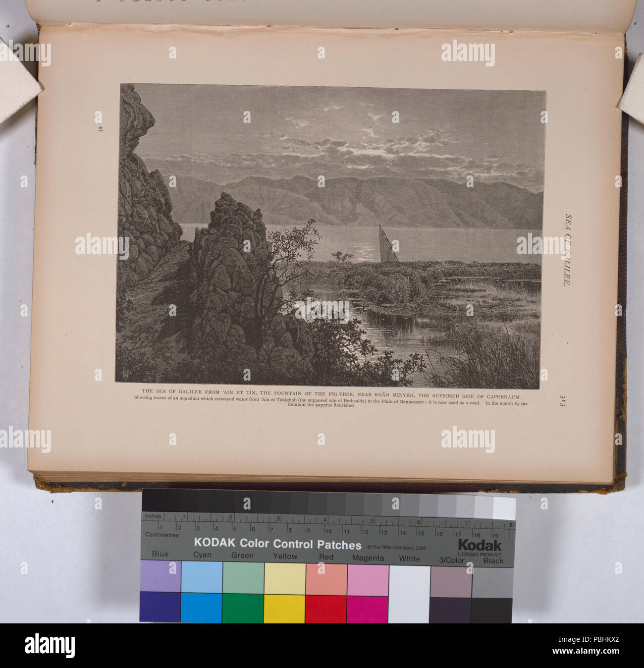 1699 The Sea of Galilee from 'Ain et Tîn, the fountain of the fig-tree ...