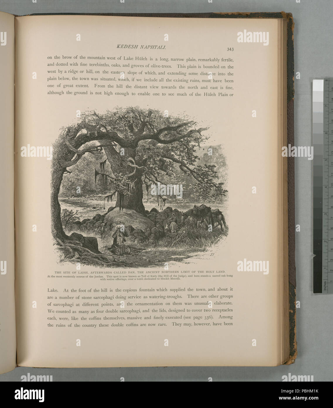 Laish hi-res stock photography and images - Alamy