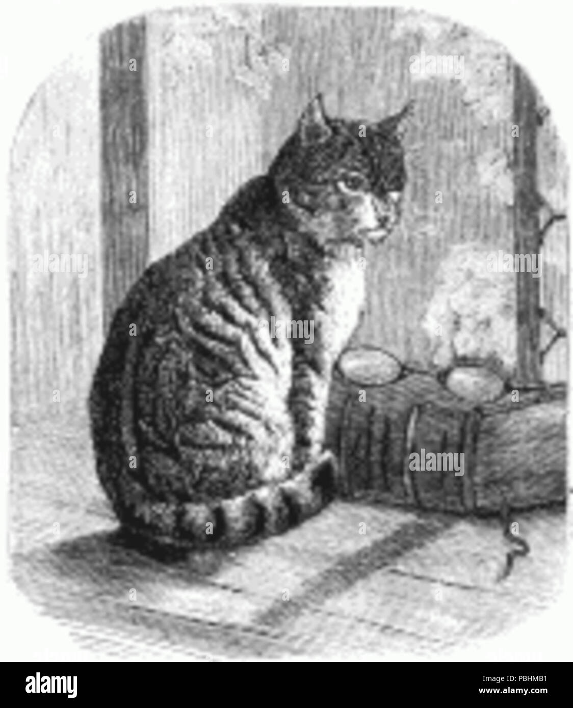 Studious personality hi-res stock photography and images - Alamy