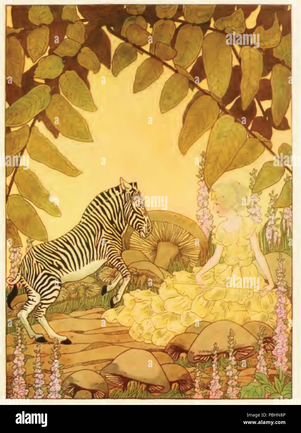 Adventure story fairy tale hi-res stock photography and images - Alamy