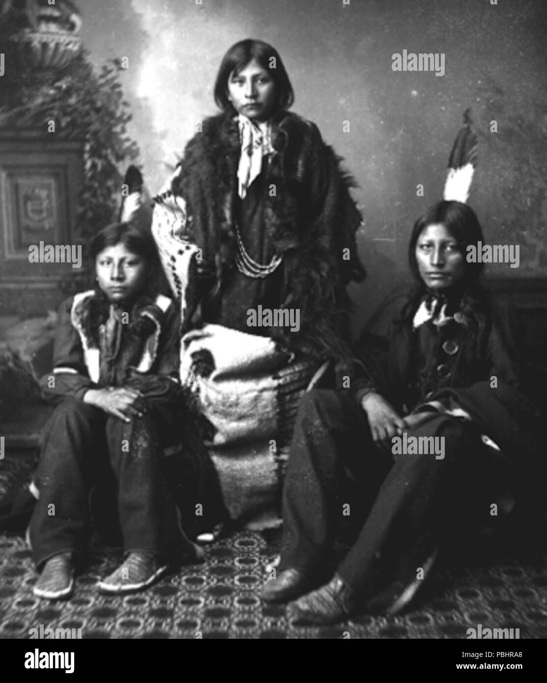 Henry standing bear hi-res stock photography and images - Alamy