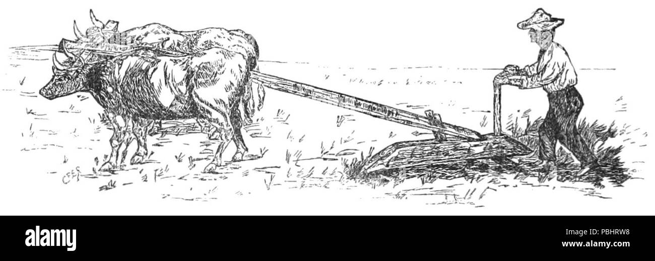 With plough Cut Out Stock Images & Pictures - Alamy