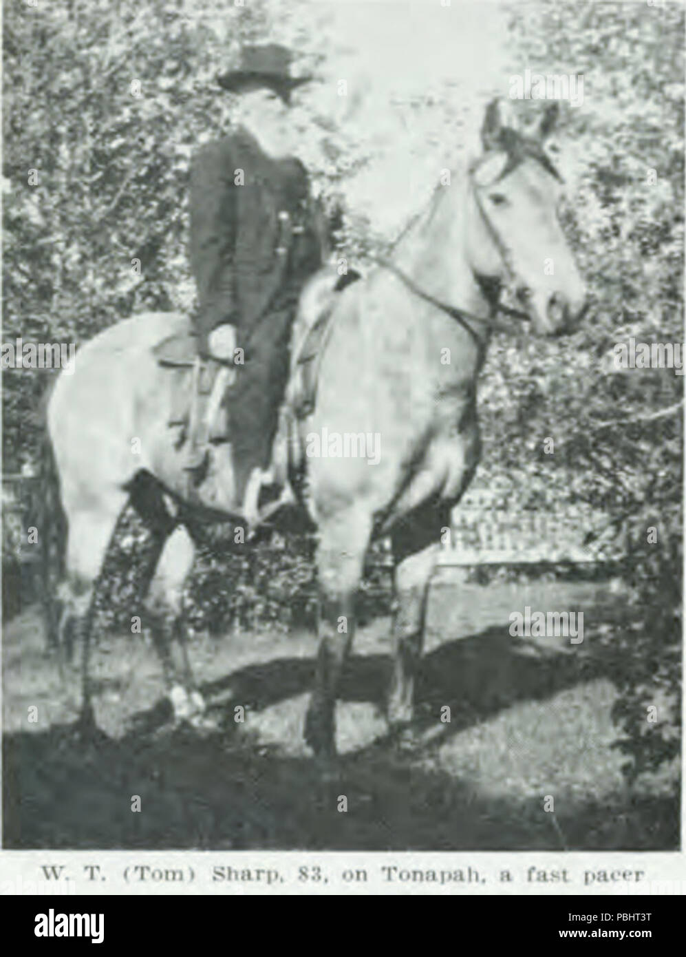1755 Tom Sharp age 83 - about 1921 Stock Photo - Alamy