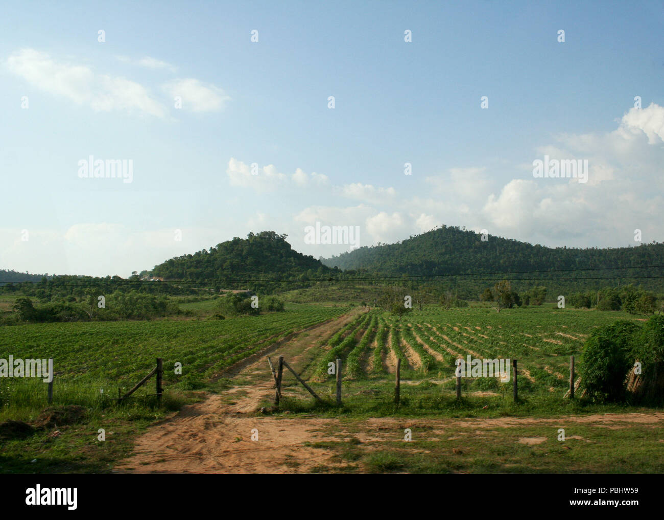 Farmland and Mountains, Cambodian Countryside Stock Photo - Alamy