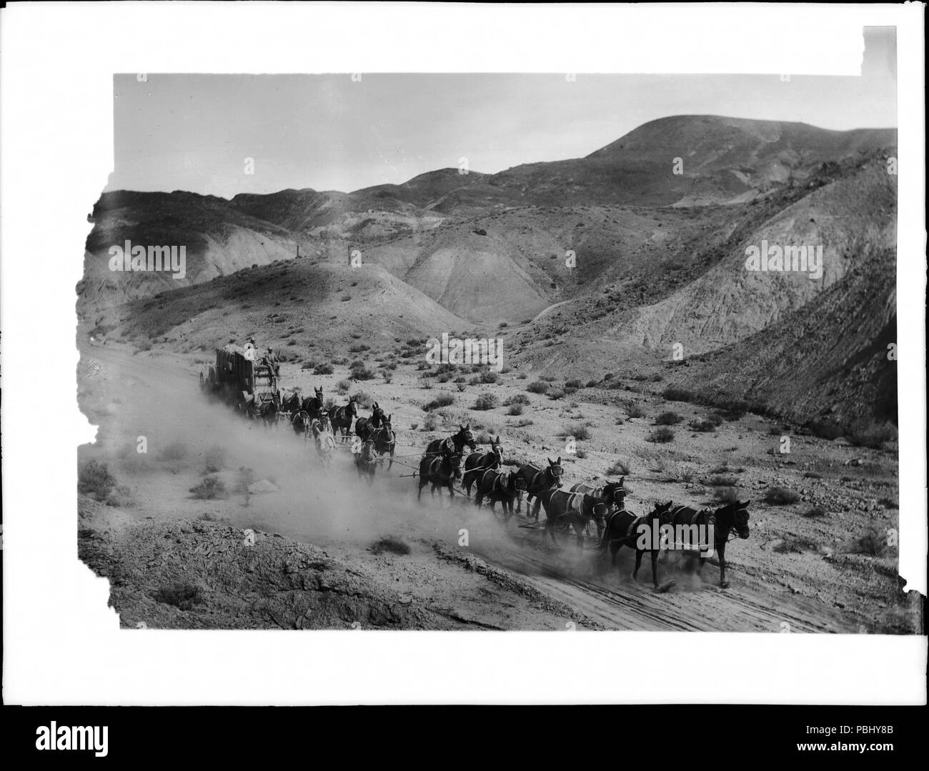 Twenty mule Black and White Stock Photos & Images - Alamy