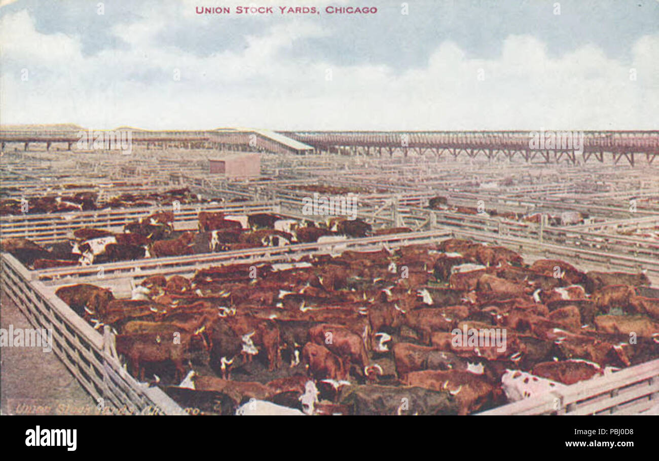 1790 Union Stock Yards, Chicago (NBY 417388 Stock Photo - Alamy
